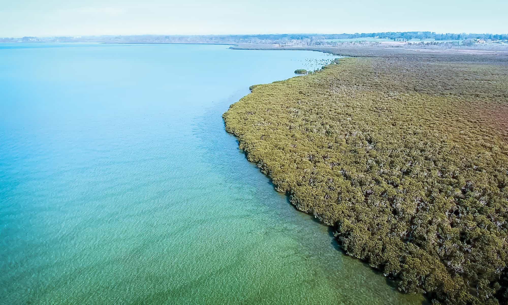 Preserve the Marine Wonders of Western Port Water: A Guide to ...