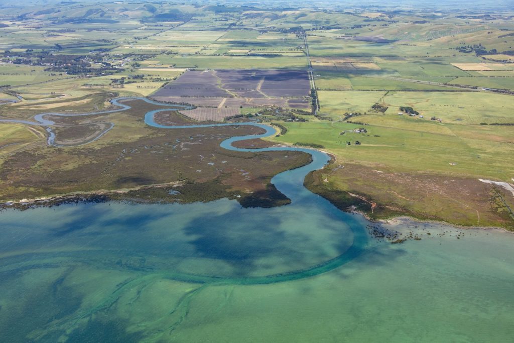 Preserve the Marine Wonders of Western Port Water: A Guide to ...