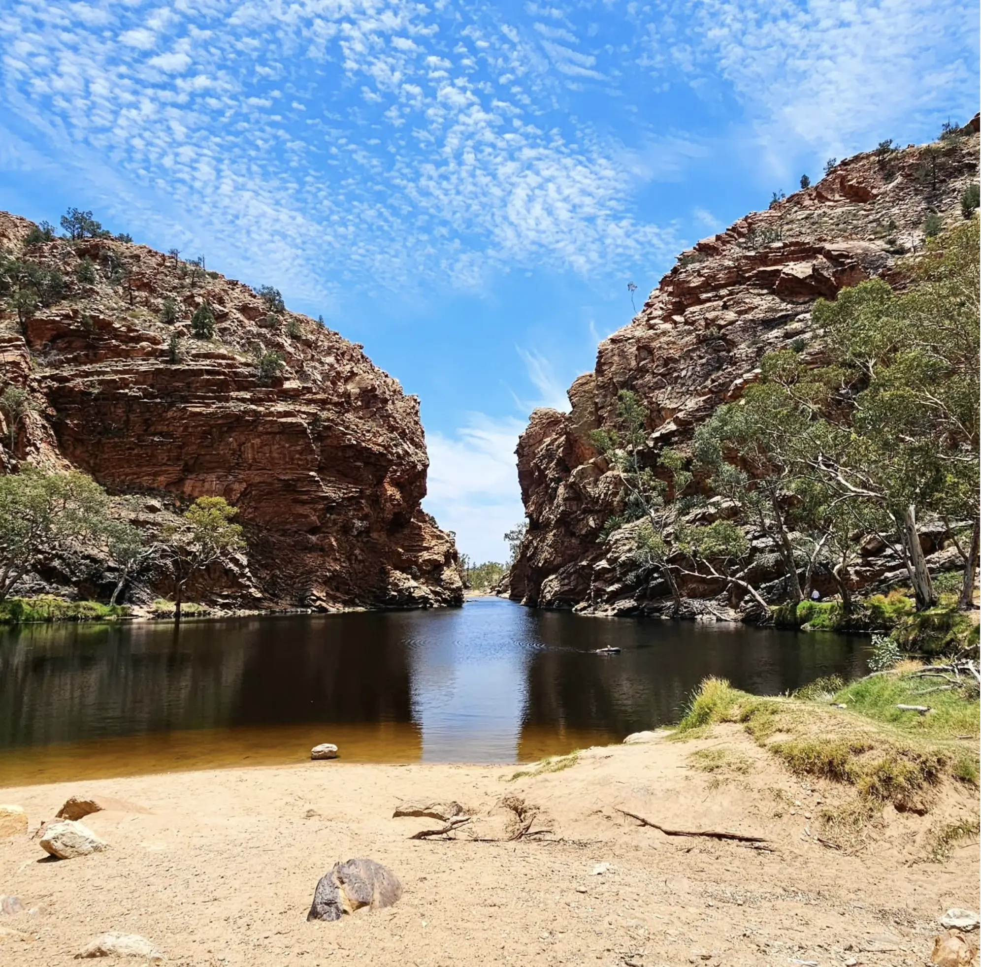 Top Swimming Spots on the Larapinta Trail